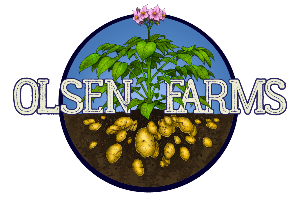Home | Olsen Farms
